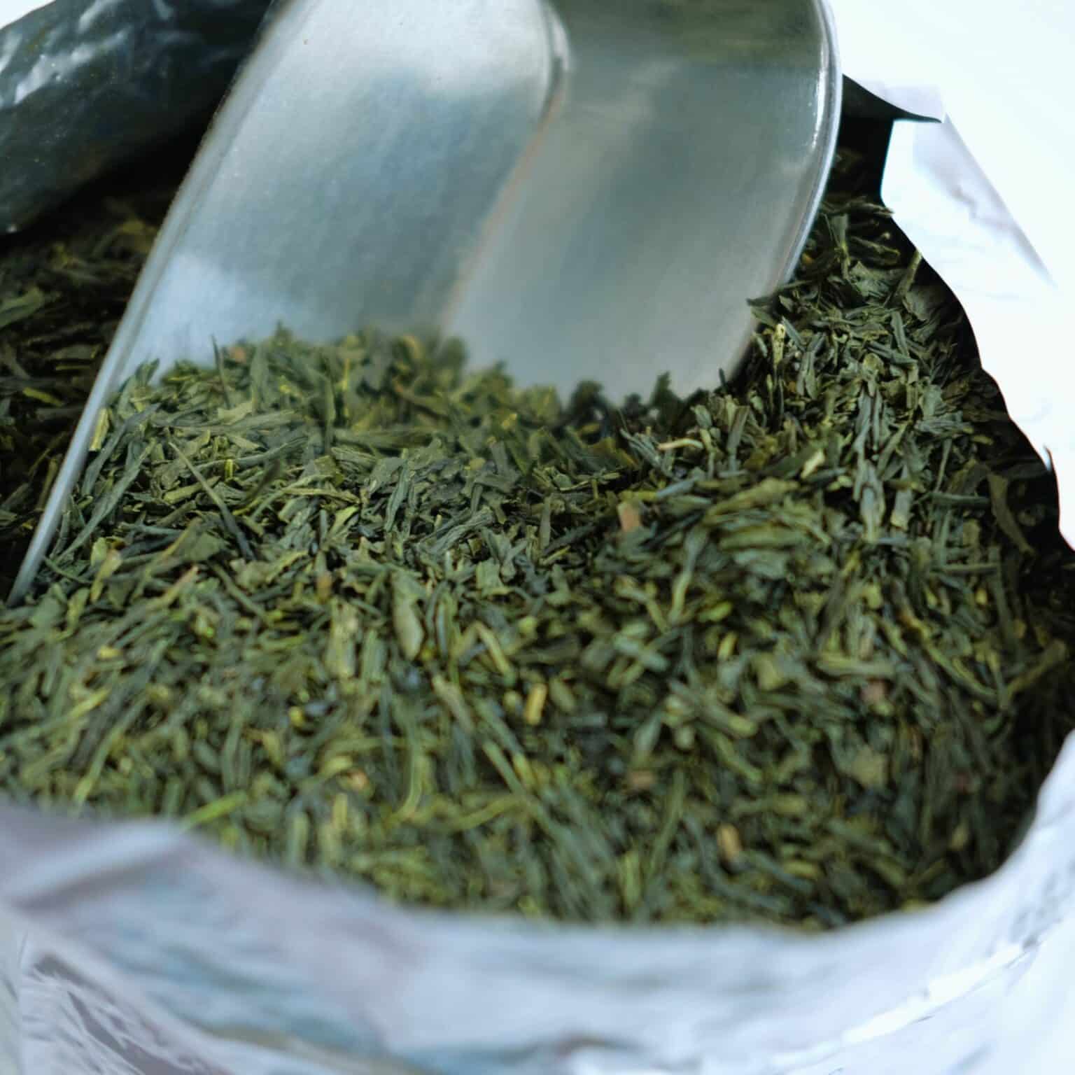 Losse groene thee kopen? Ontdek onze groene thee! - Thee.be