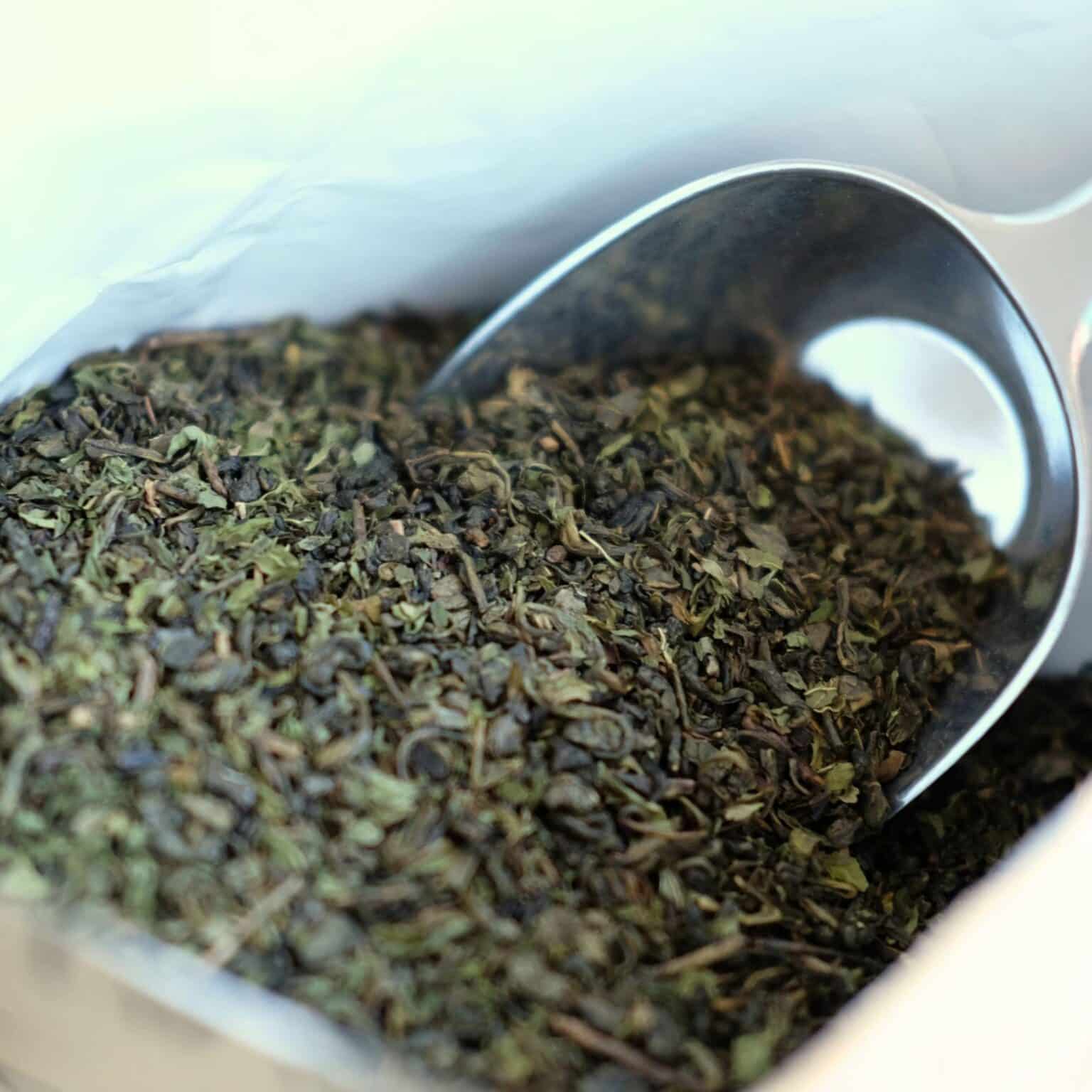 Green tea with mint Minty Green - Thee.be