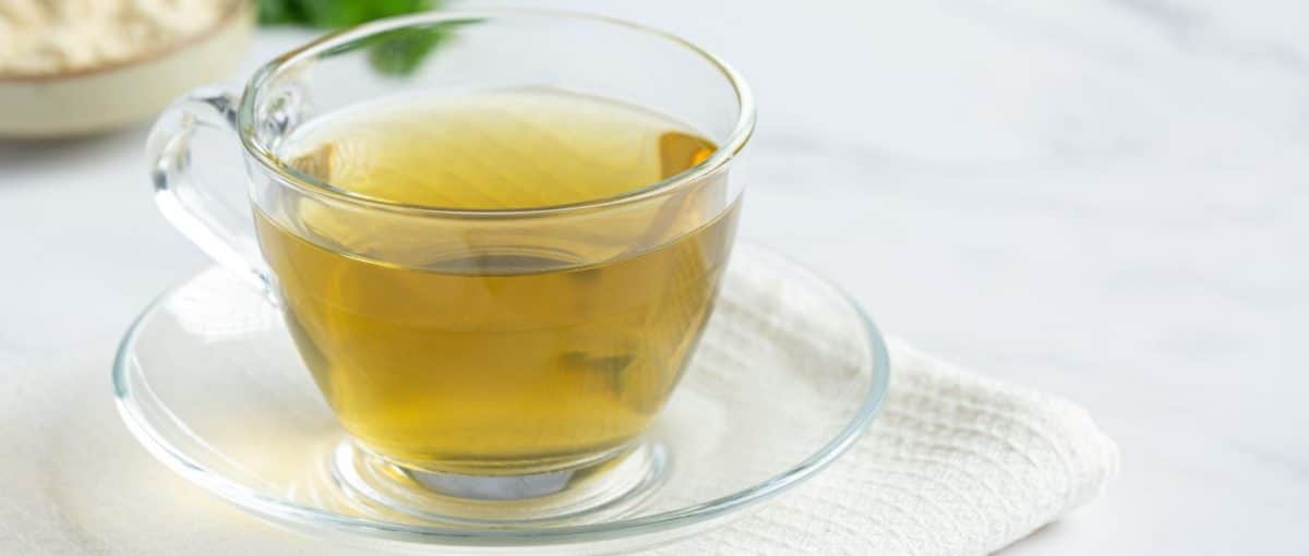 5 Gezondheidsvoordelen van witte thee - Thee.be