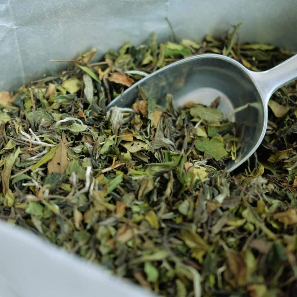 Losse witte thee kopen? Ontdek ons gezonde gamma! - Thee.be