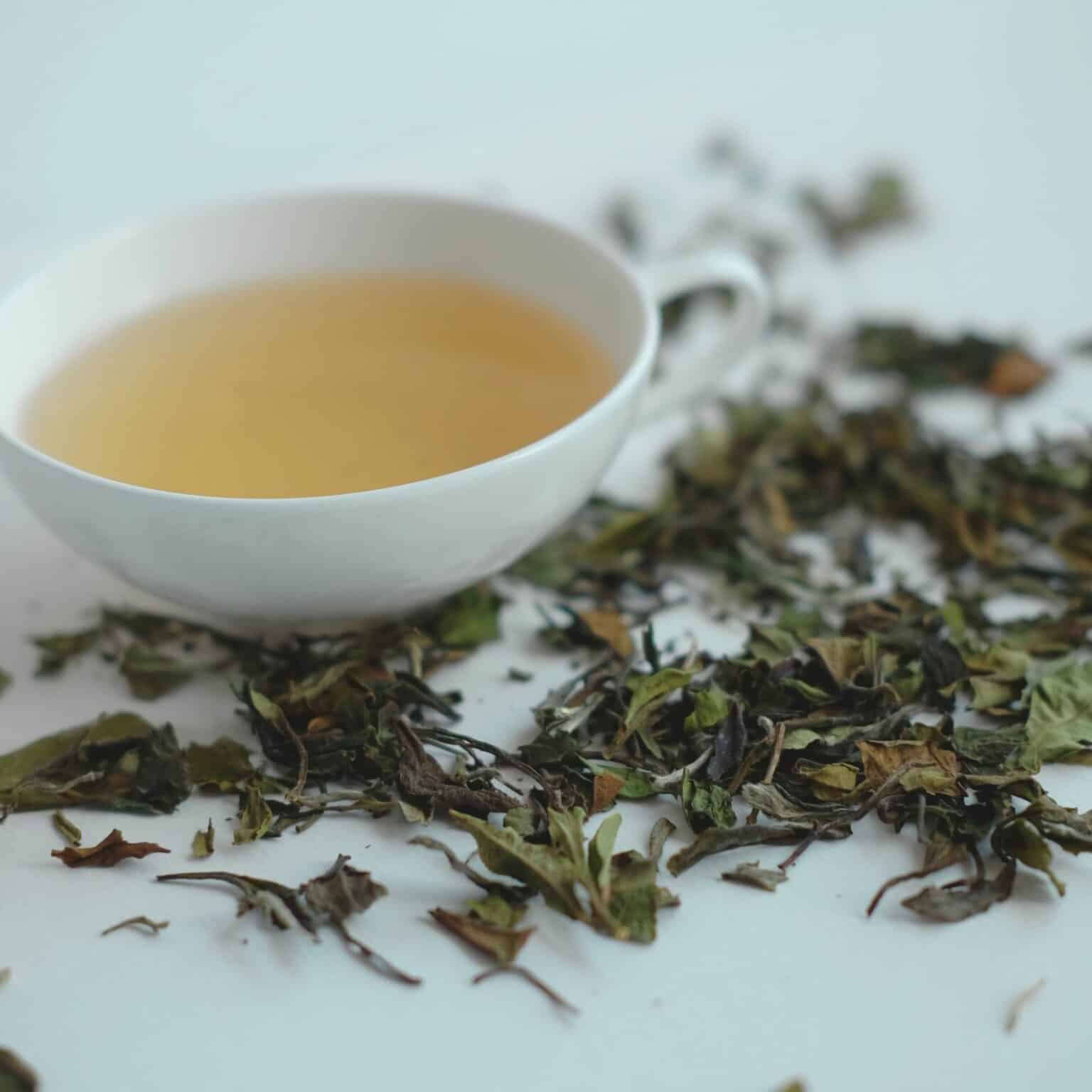 Losse witte thee kopen? Ontdek ons gezonde gamma! - Thee.be