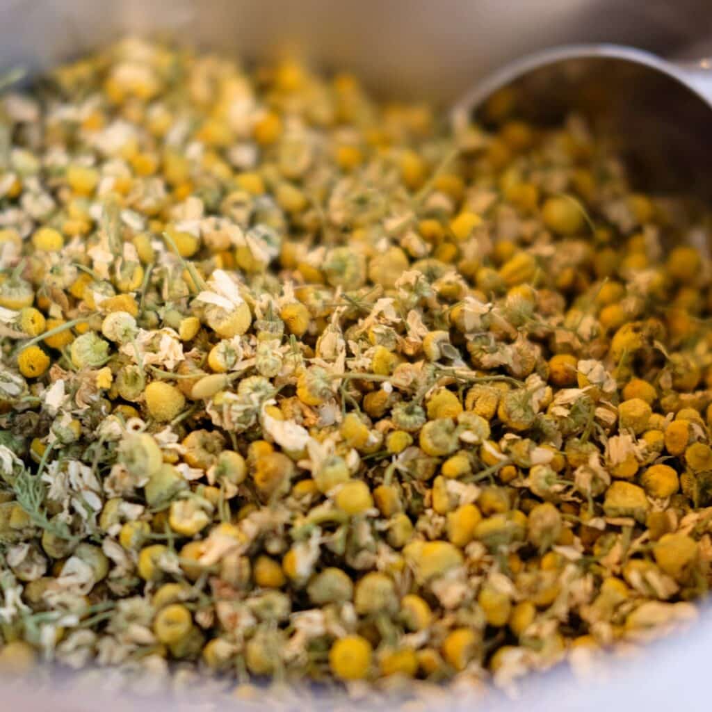 Pure kamillethee Kamillebloemen - Thee.be