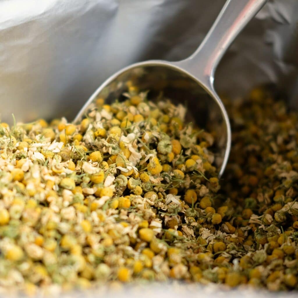 Pure kamillethee Kamillebloemen - Thee.be
